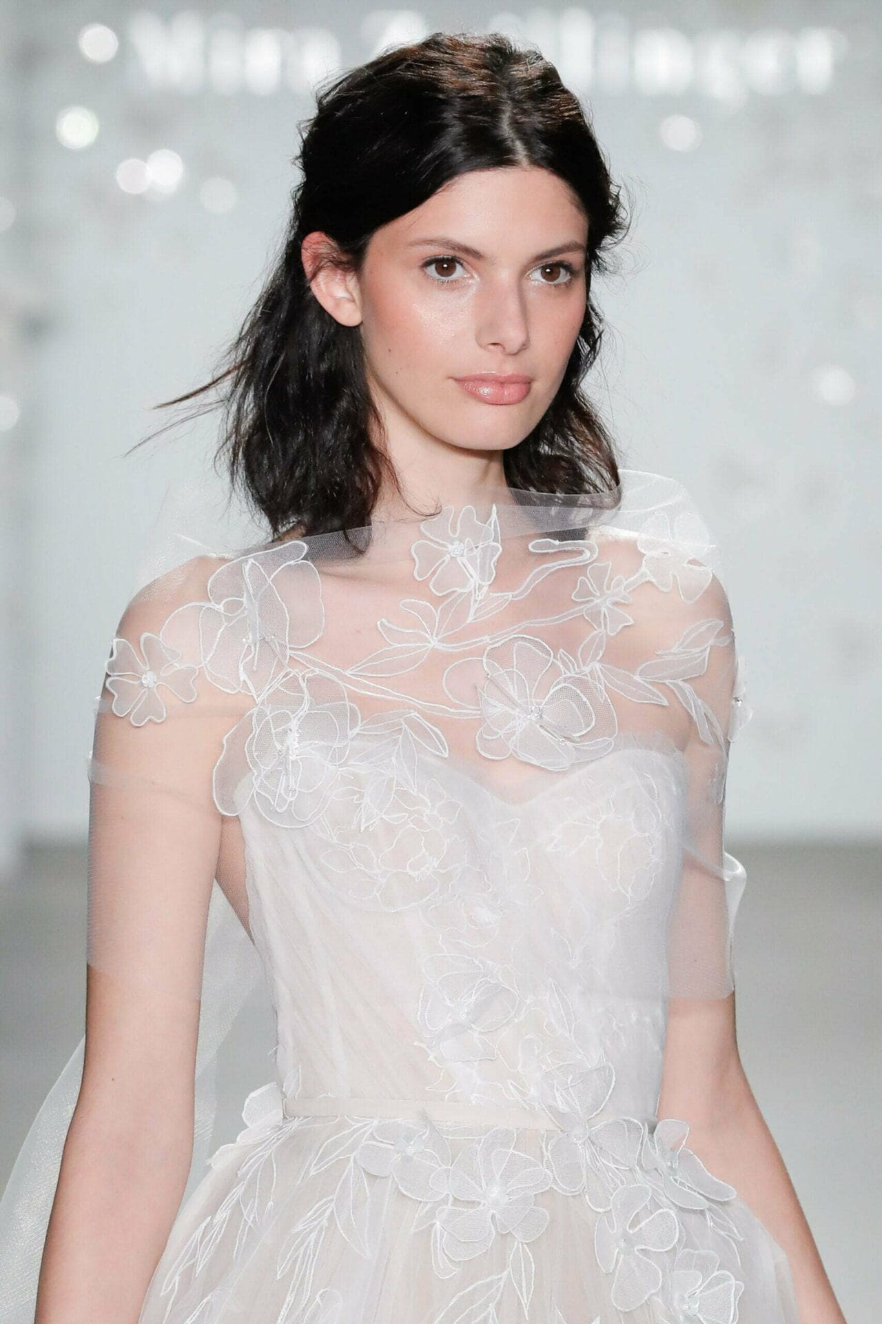 Amy - Mira Zwillinger