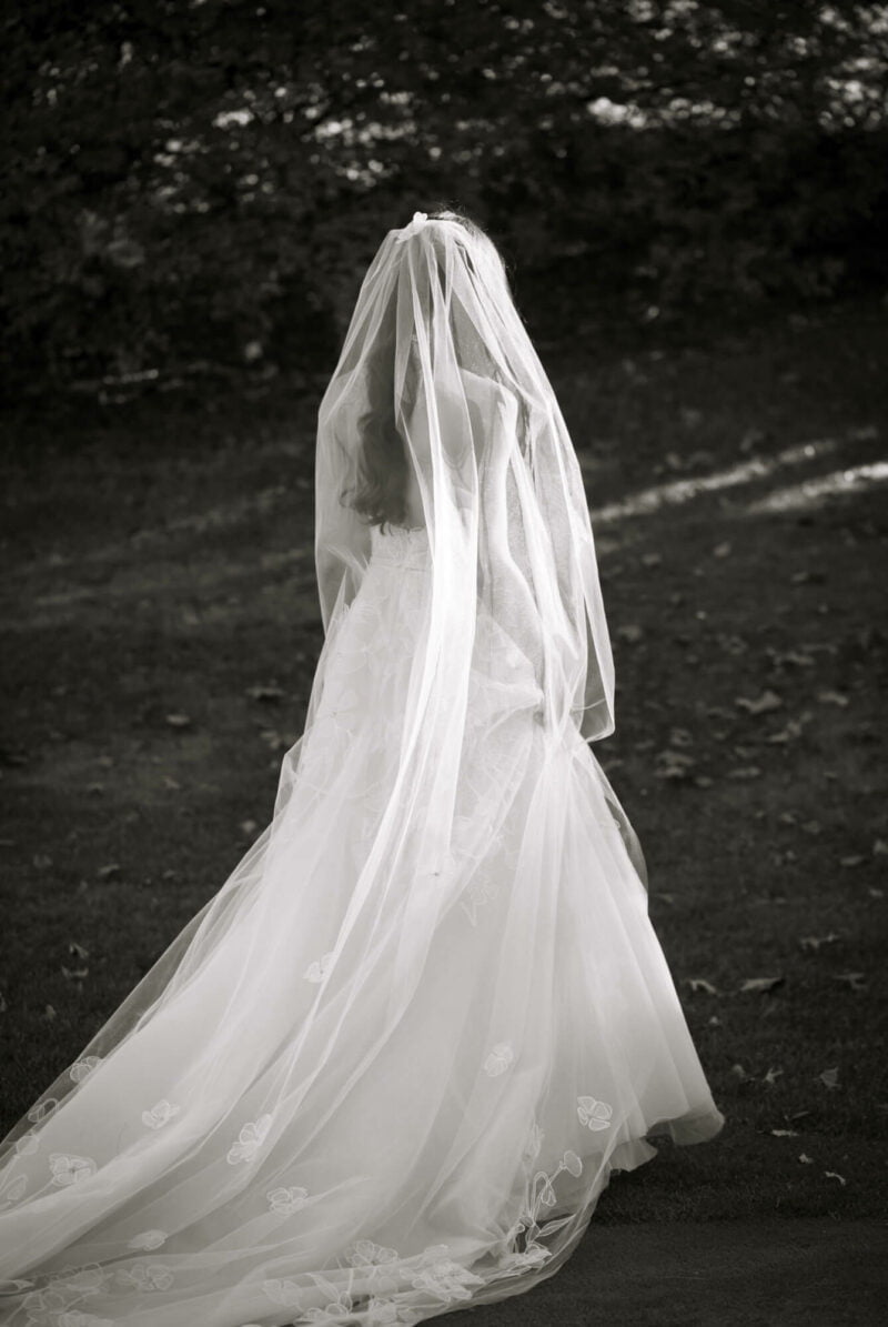 Sallee - Mira Zwillinger