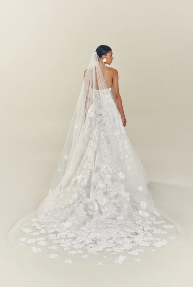 Ness - Mira Zwillinger