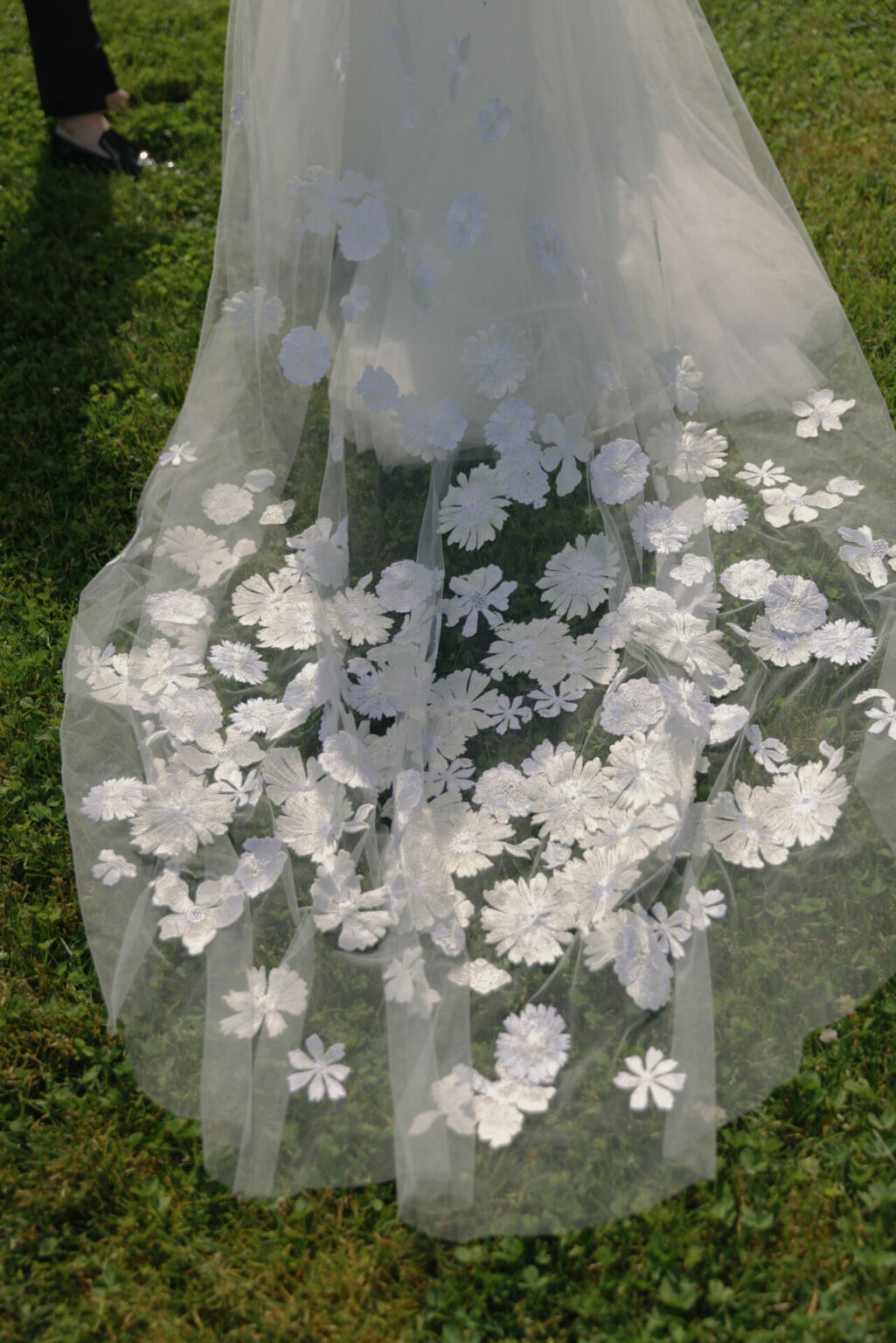 Nesley - Mira Zwillinger