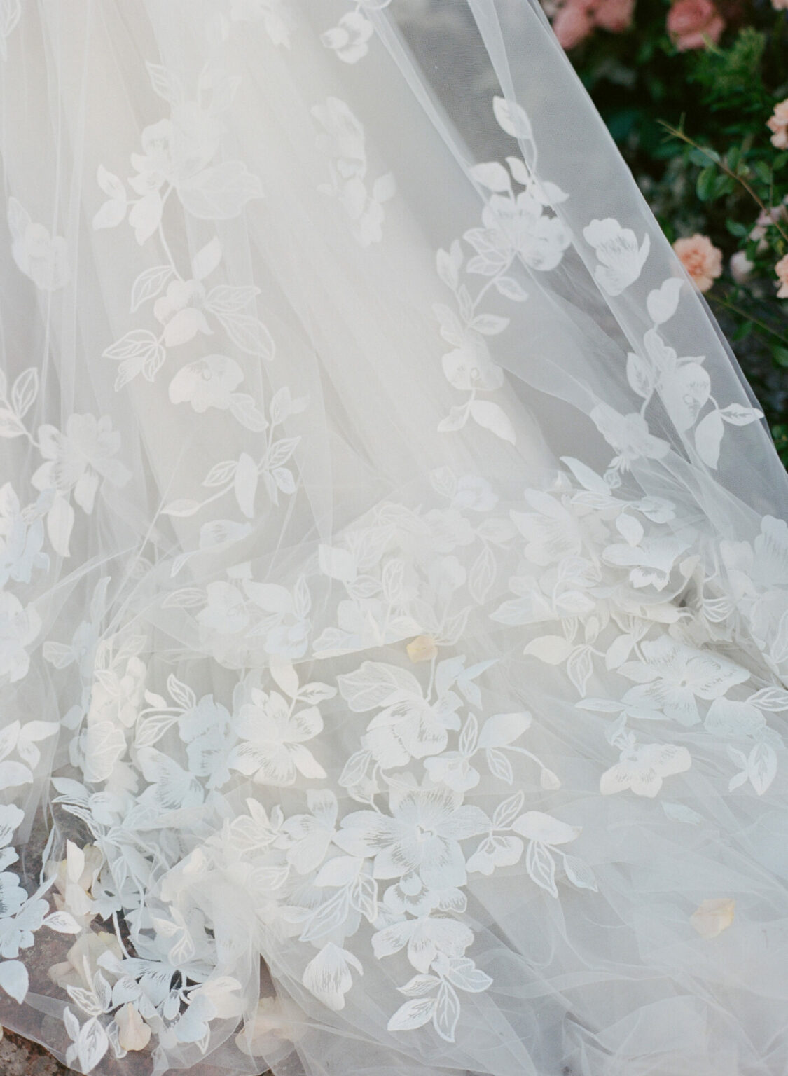 Nelly - Mira Zwillinger