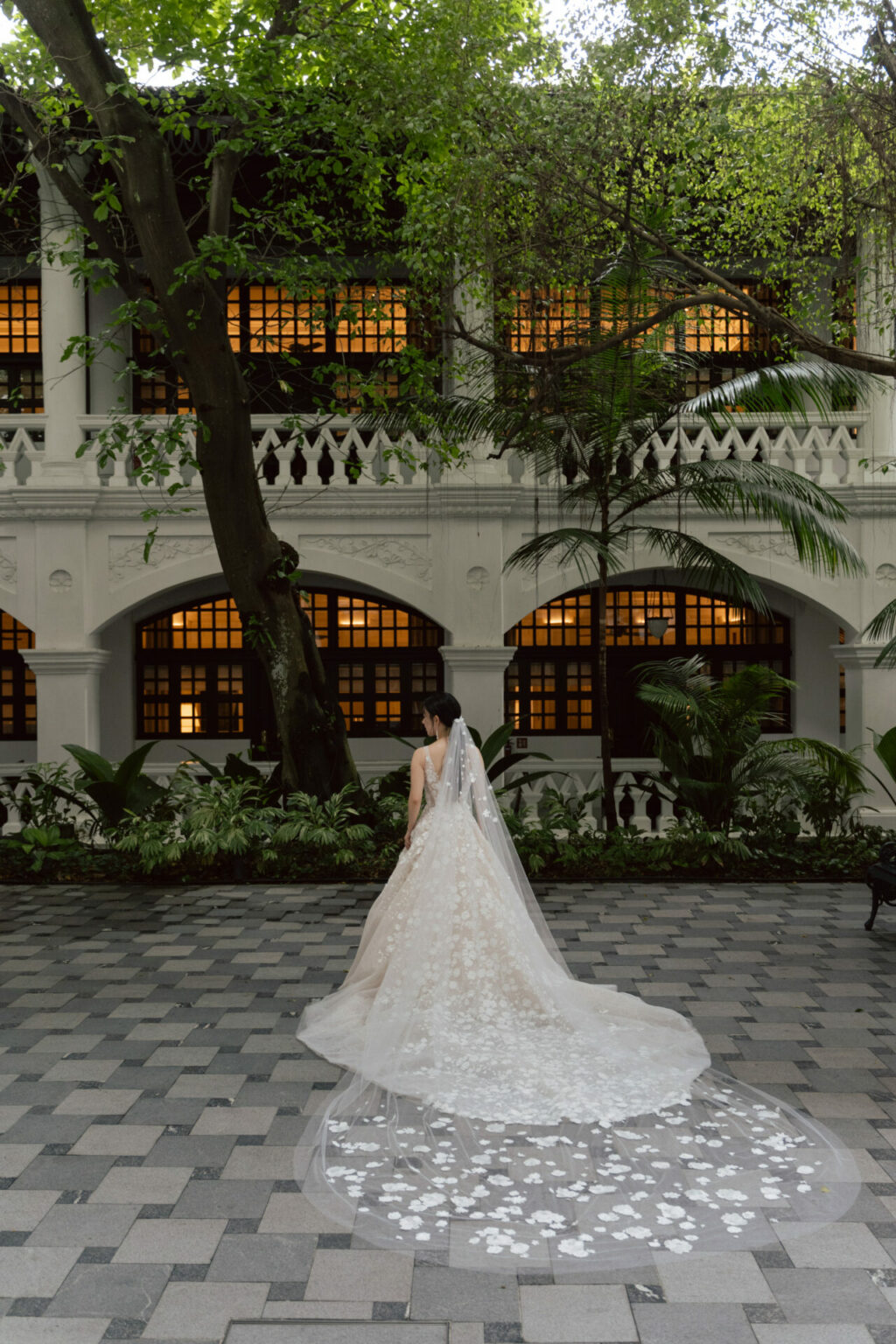 Jolli - Mira Zwillinger